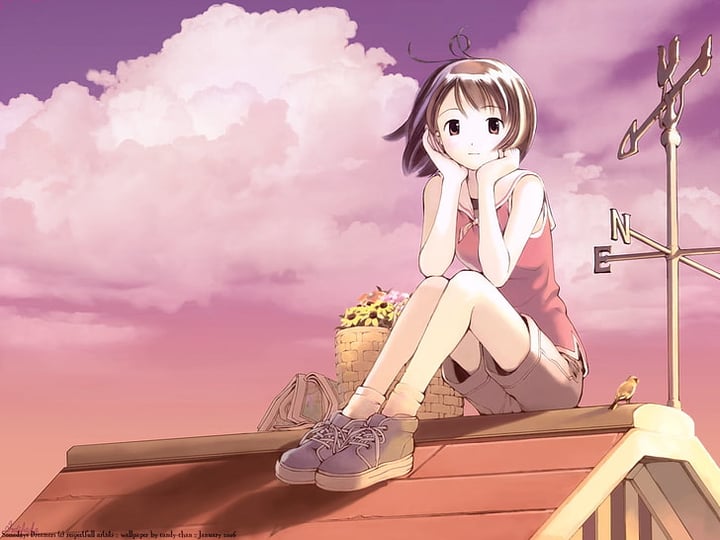 분류 Tv Series 년 2003 제작사 J C Staff 장르 드라마 매직 생명의 조각 쇼넨 Info 마법사 연수생인 키쿠치 유메는